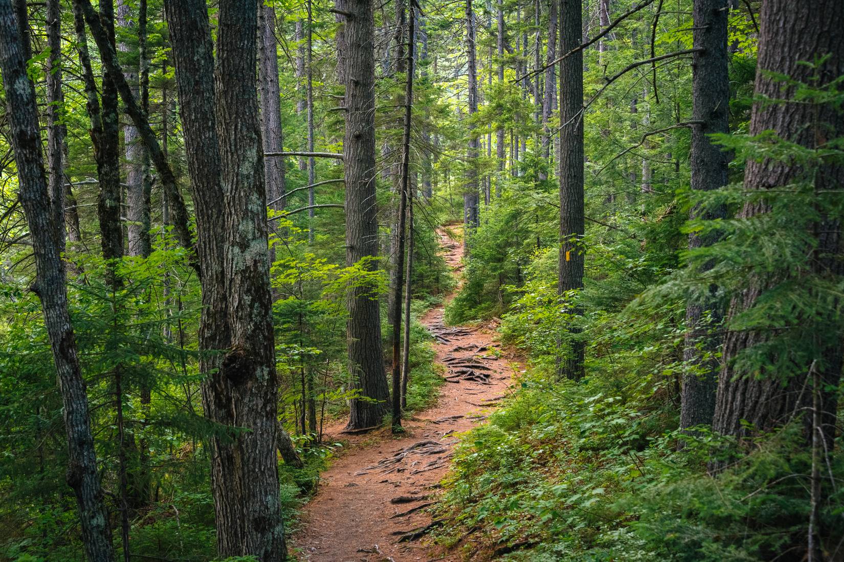 New Hampshire - Maps | TheTravel