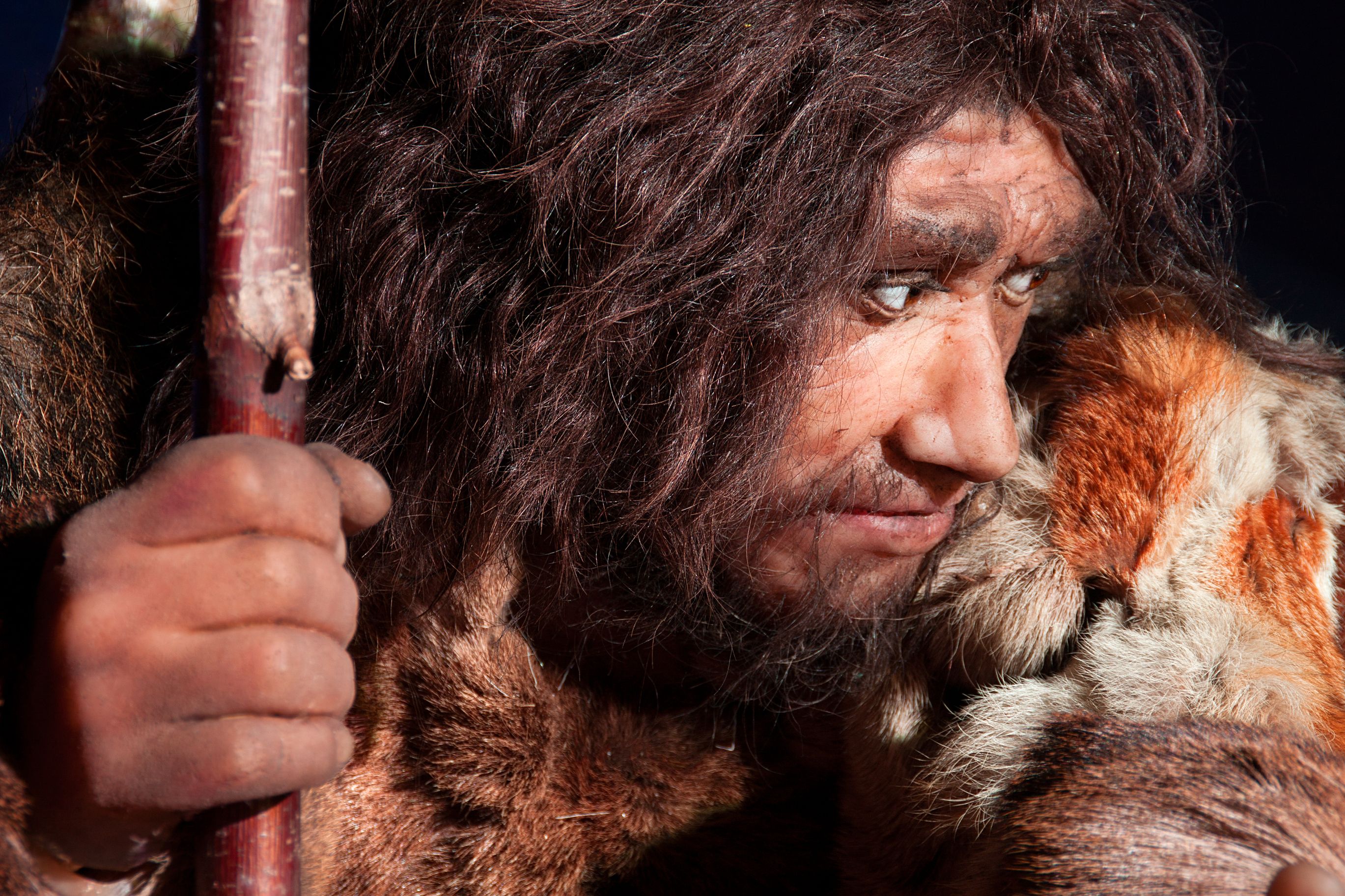 The Oldest-Known Human Portrait In The World Is Older Than You'd Ever ...