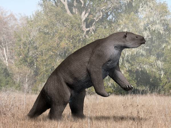 Turns Out, Humans Didn't Make These Massive Mysterious Tunnels In South ...