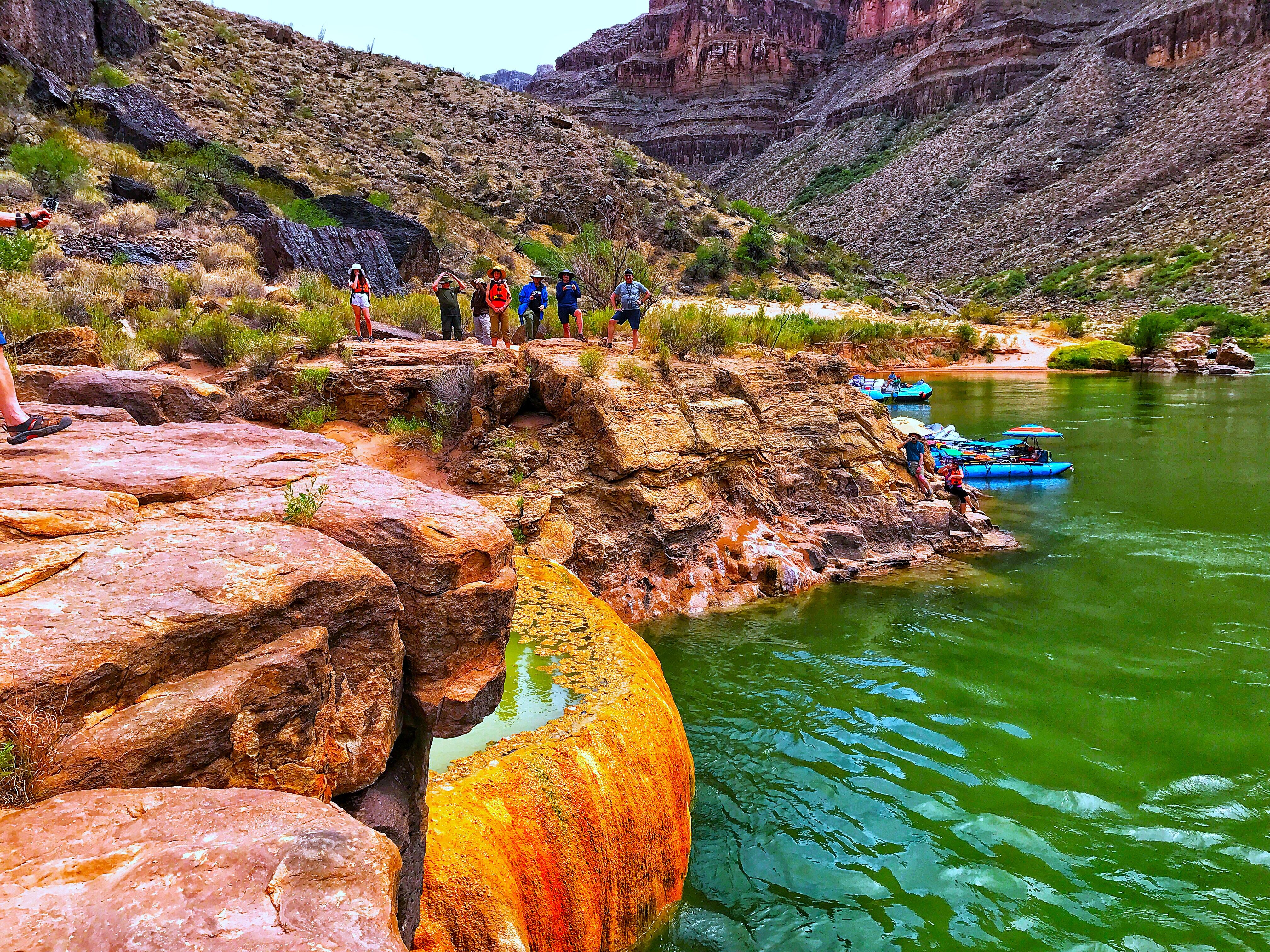 The World's Deadliest Lake Turns Animals To Stone