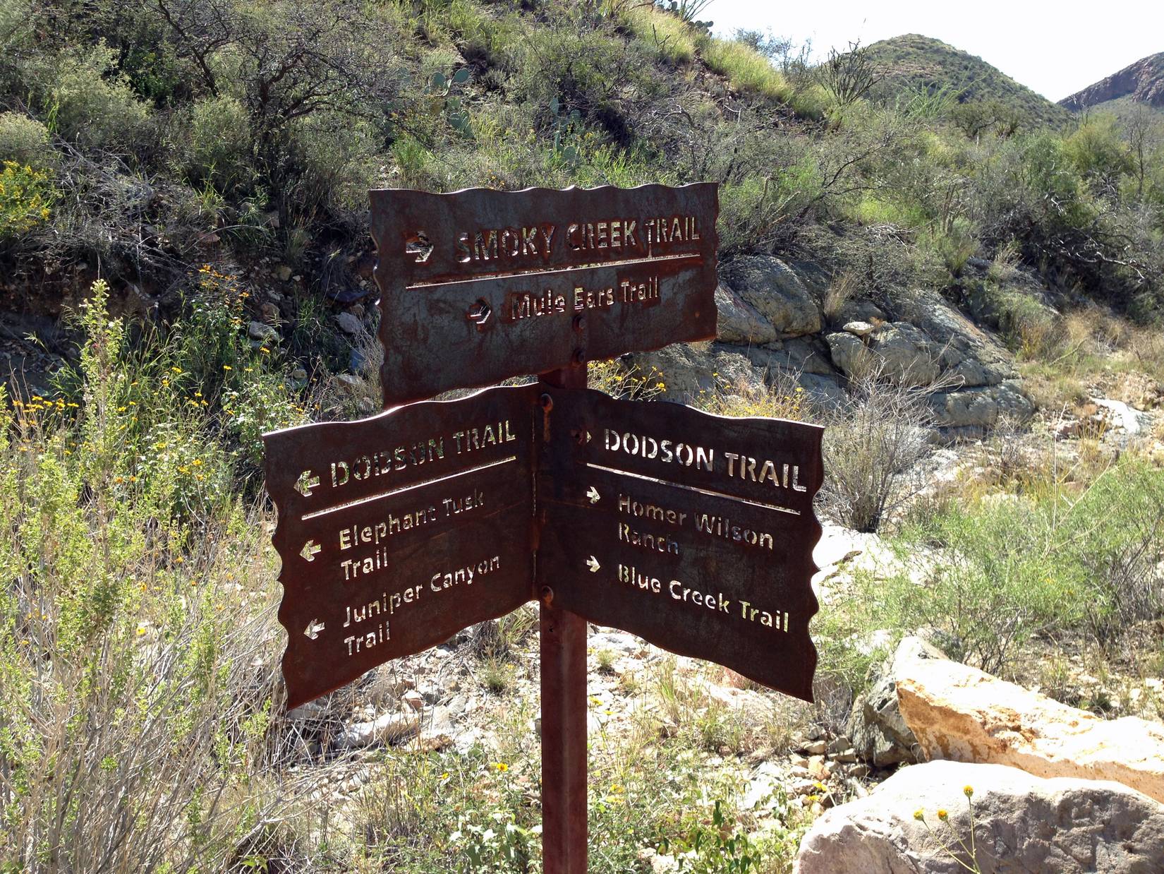 Big Bend National Park Is Shutting Down Its Most Popular Trails For ...