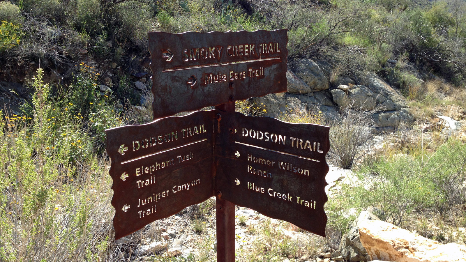 Big Bend National Park Issues Warning Over Dangerous "Hallucinogen ...