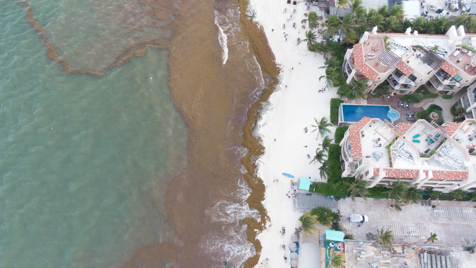 Mexican Government Steps In To Save One Of The Country's Most Popular ...