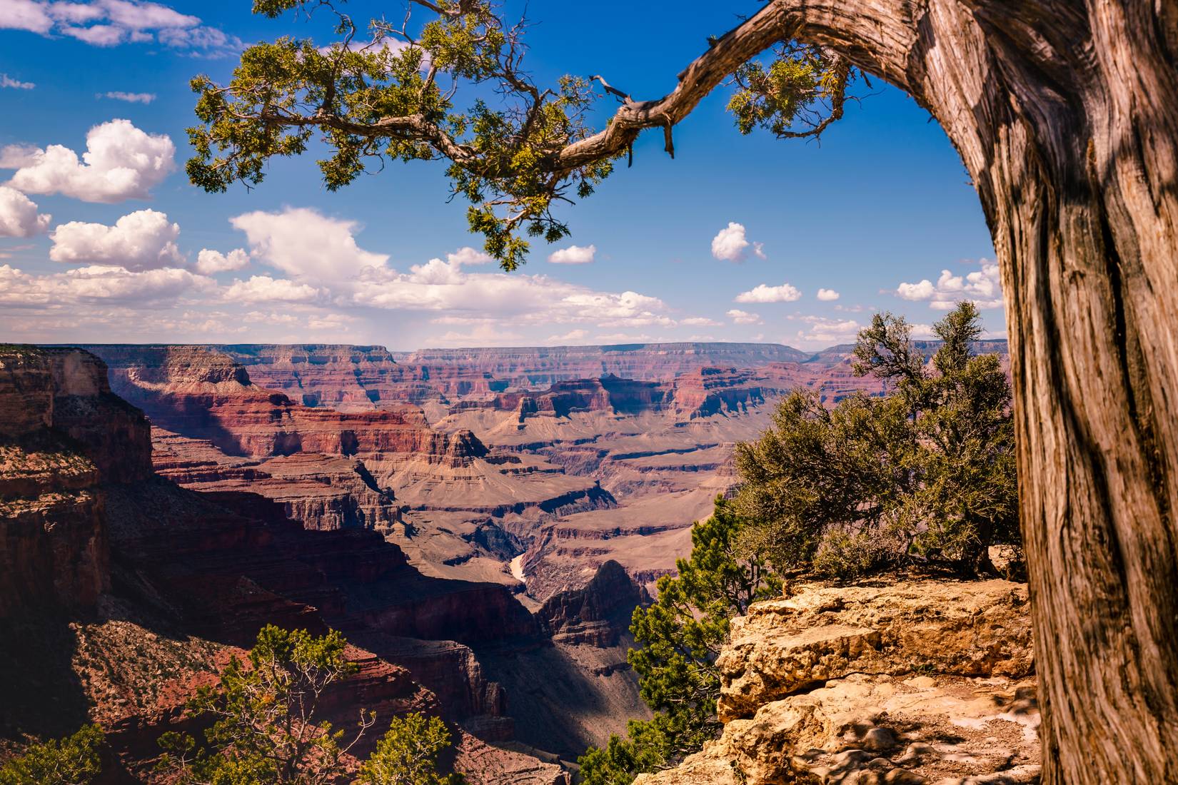 What Most People Don’t Know About The Grand Canyon