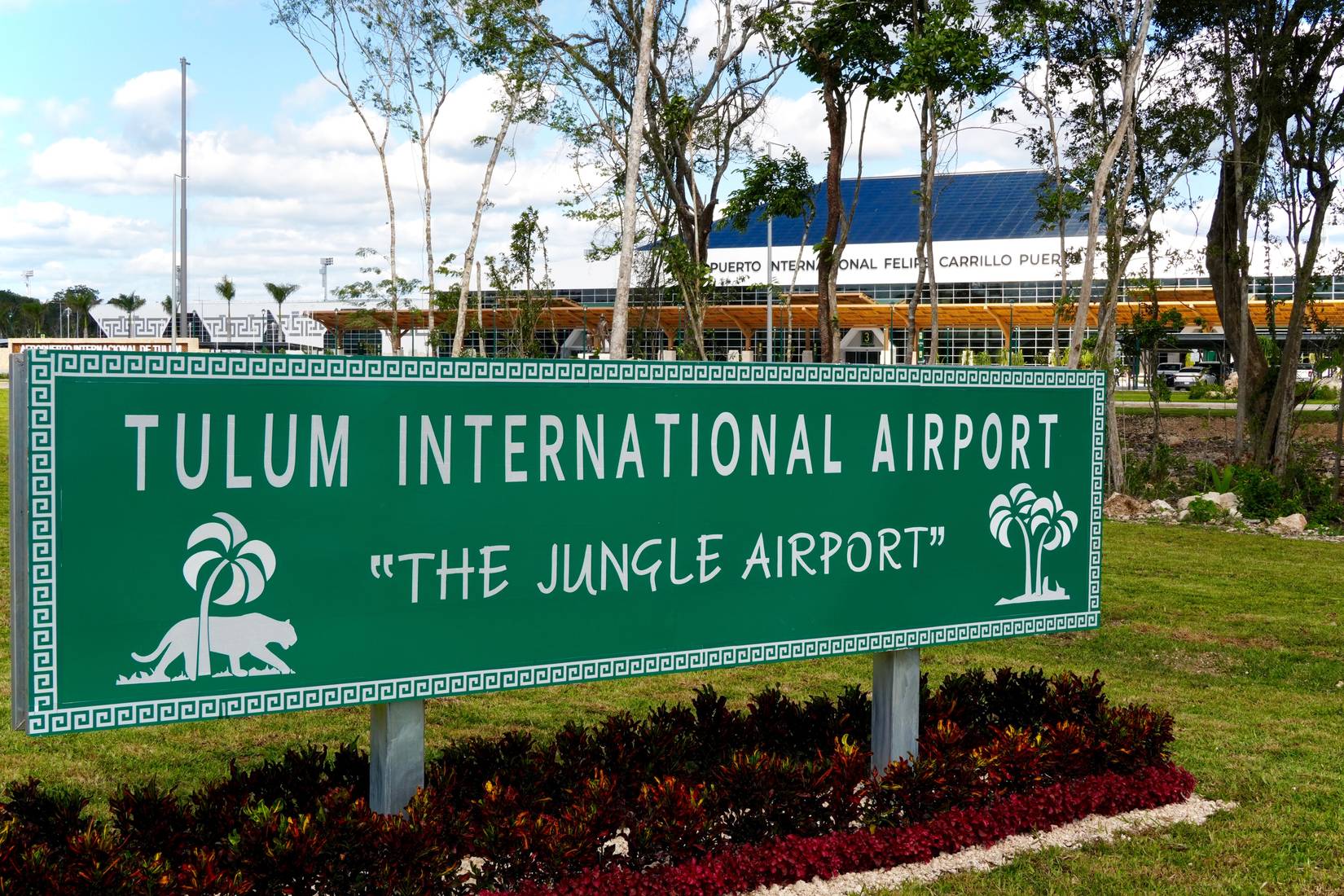 Canadians Surprised After Bold Changes To Mexico's Taxi Services Leads ...