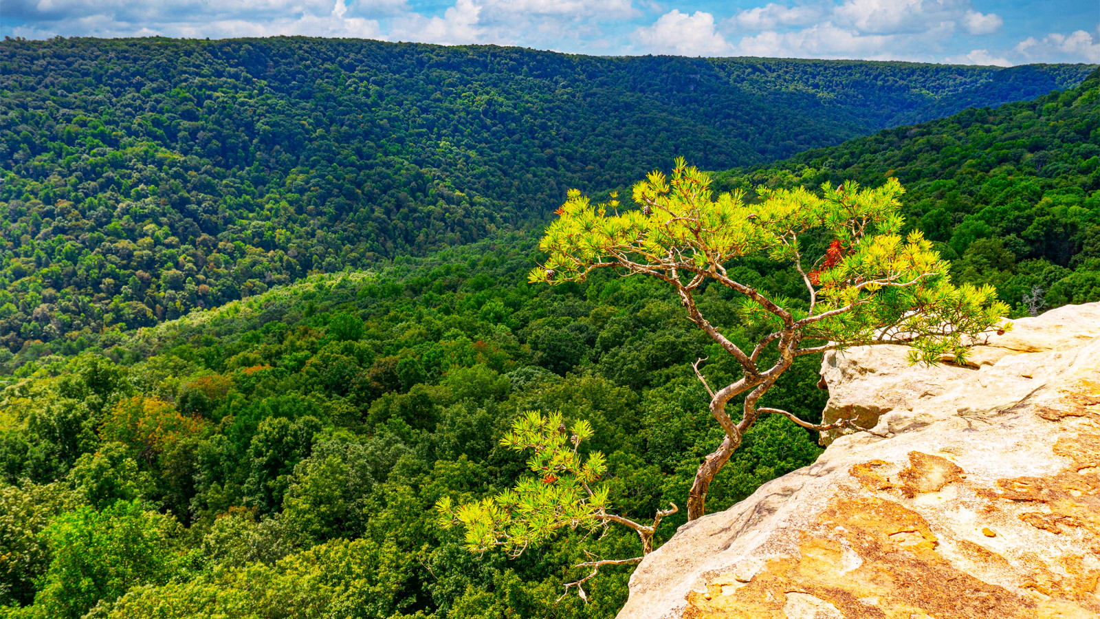 This Underrated Tennessee State Park Is Like The Grand Canyon & Great ...