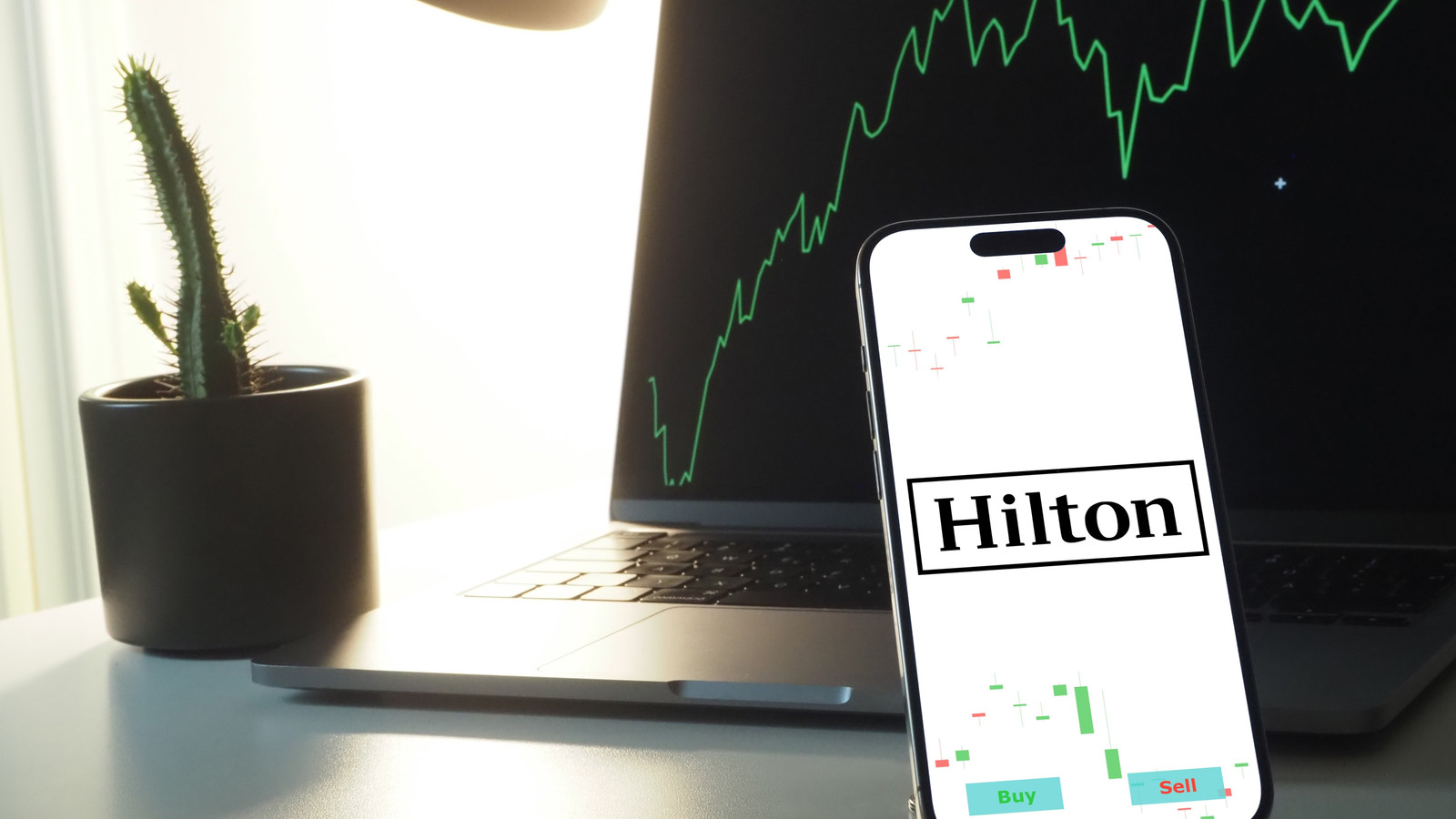 Hilton Honors Brings Back Its Status Match Loyalty Program With ...