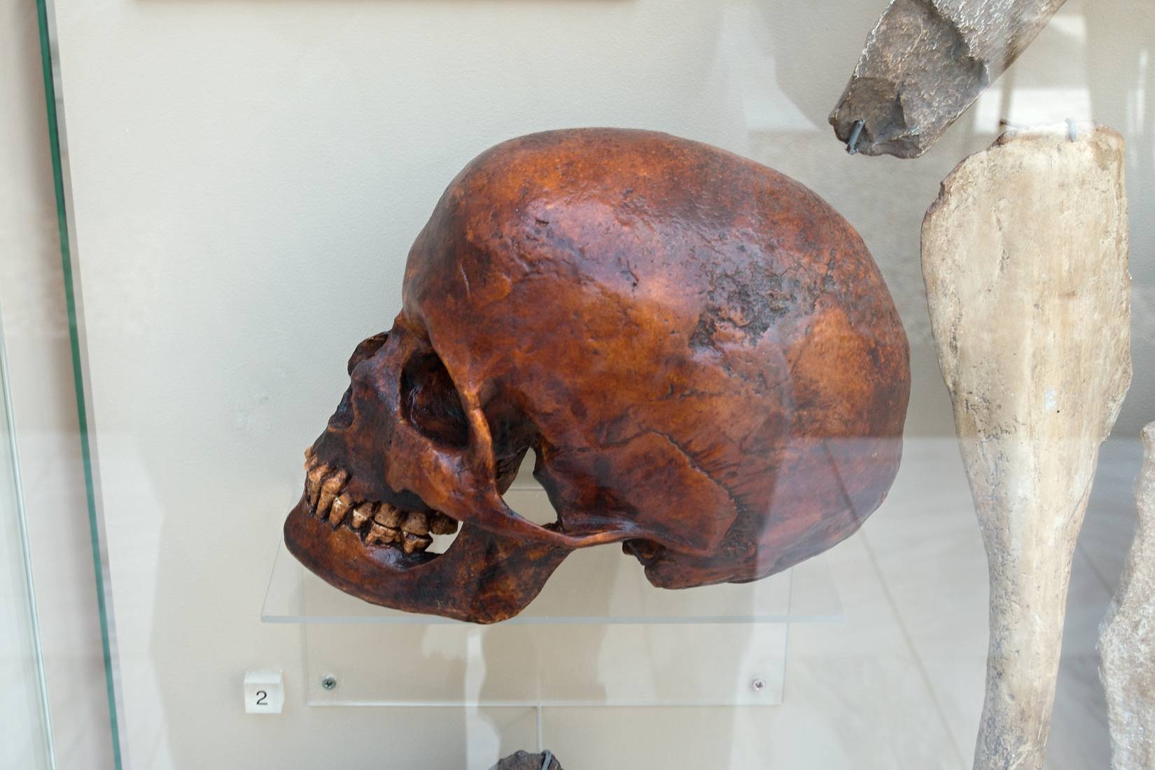 The Oldest-Known Human Portrait In The World Is Older Than You'd Ever ...