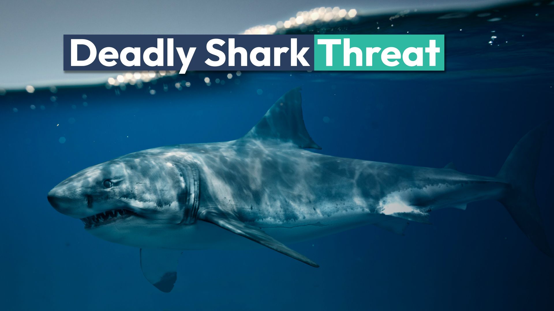 Disney Was Wrong: The Real Nemo Is A Monster Unfit For A Kids' Movie