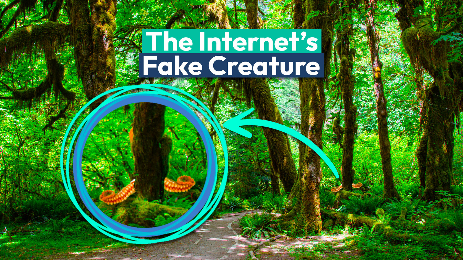 The Pacific Northwest Tree Octopus Is America's Weirdest Wildlife Hoax ...