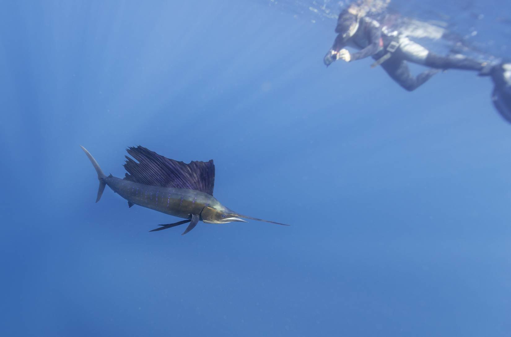 Isla Mujeres Travel Guide: How To Plan The Perfect Island Getaway