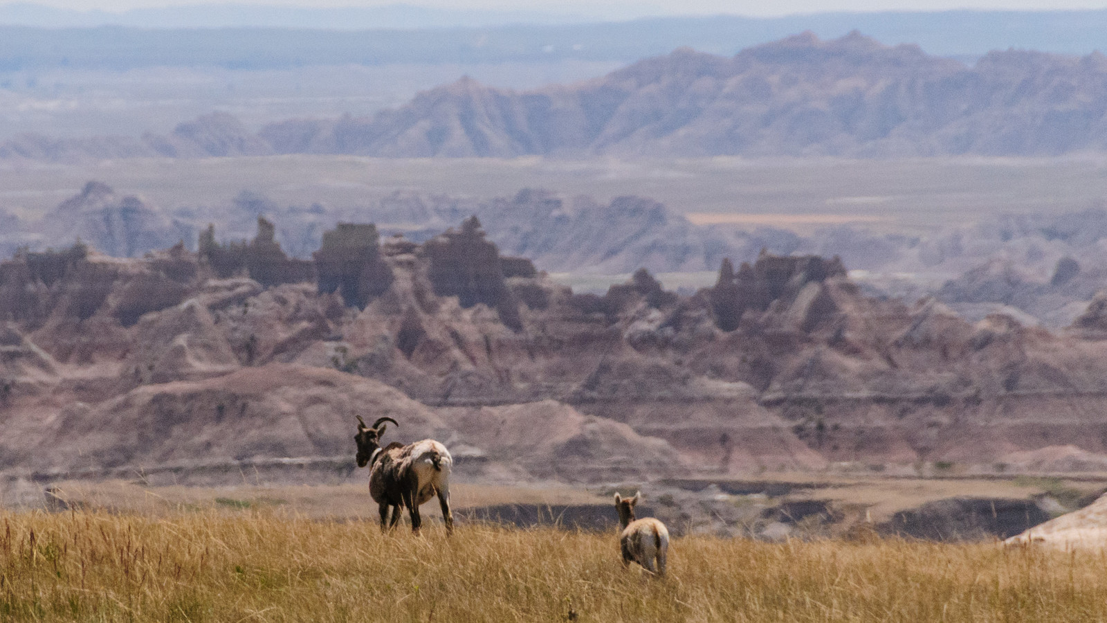 The Beautiful Town That's The Gateway To The Badlands