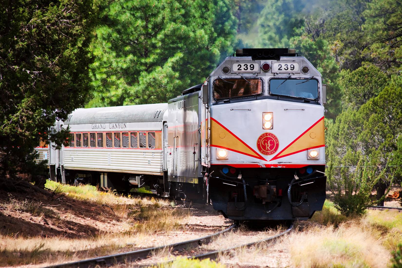 Grand Canyon Railway What First Time Visitors Need To Know