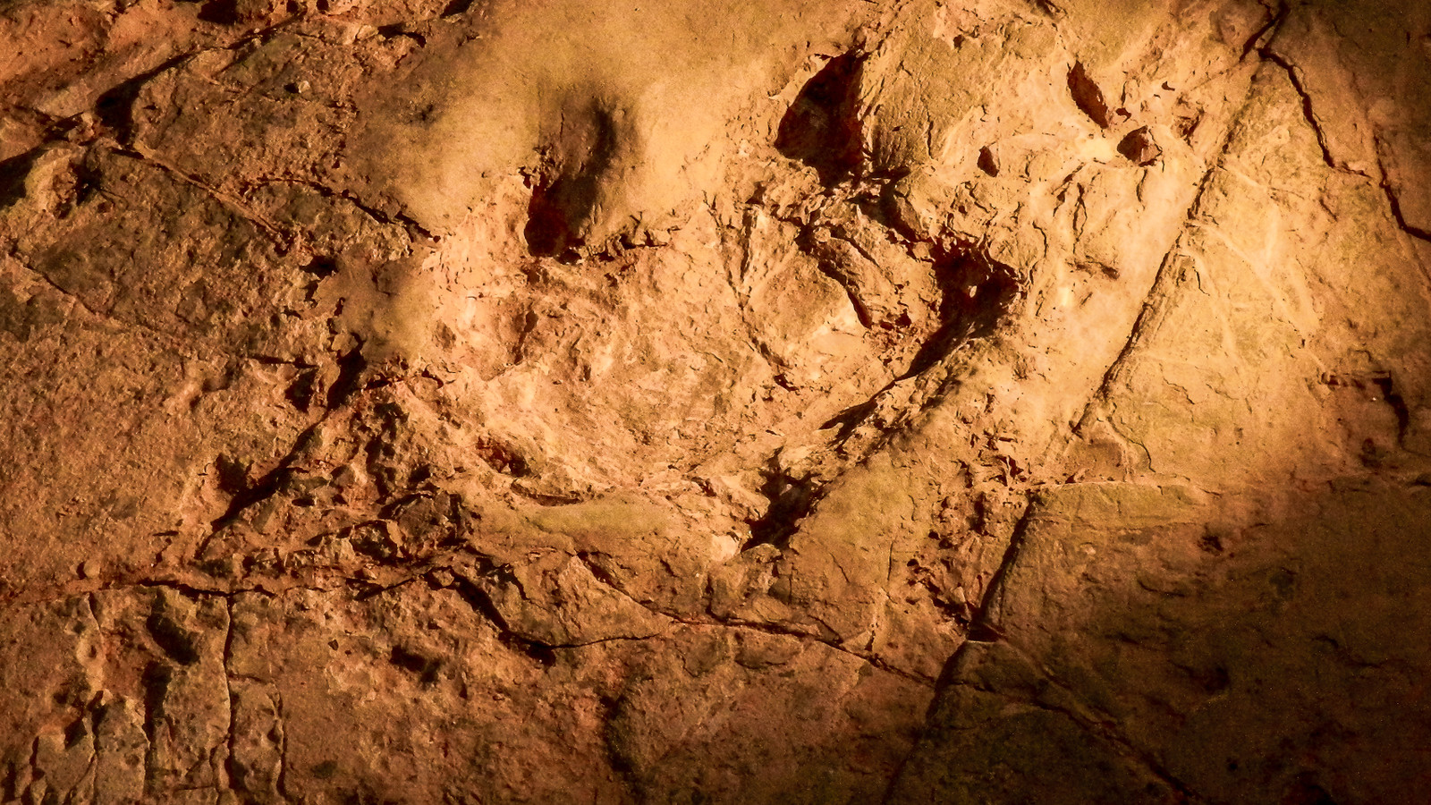 The "World's Smallest Dinosaur Footprints" Are An Extremely Rare ...