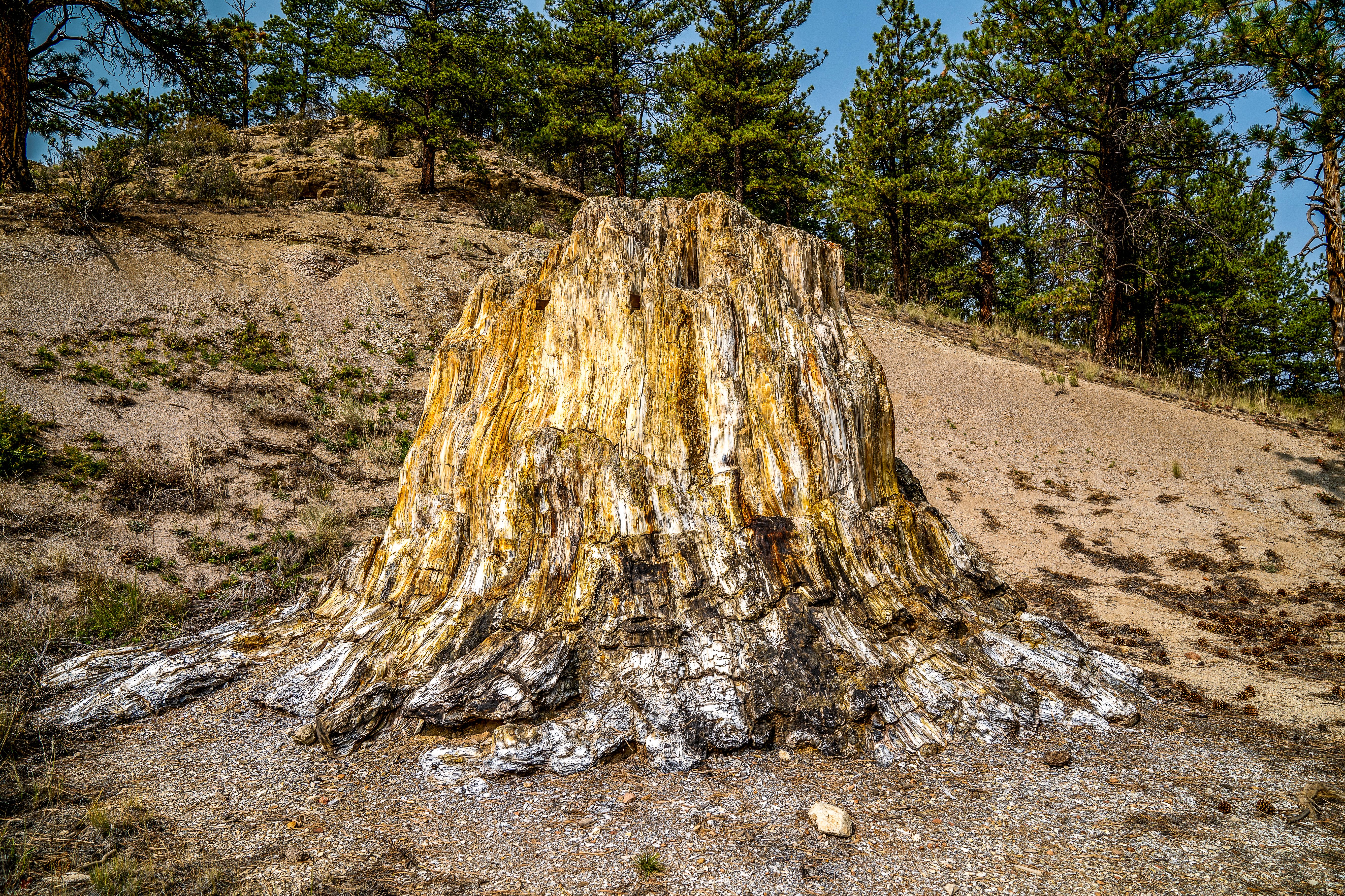 The Sinful "Sodom" Of Ancient Rome That Fell Into The Sea