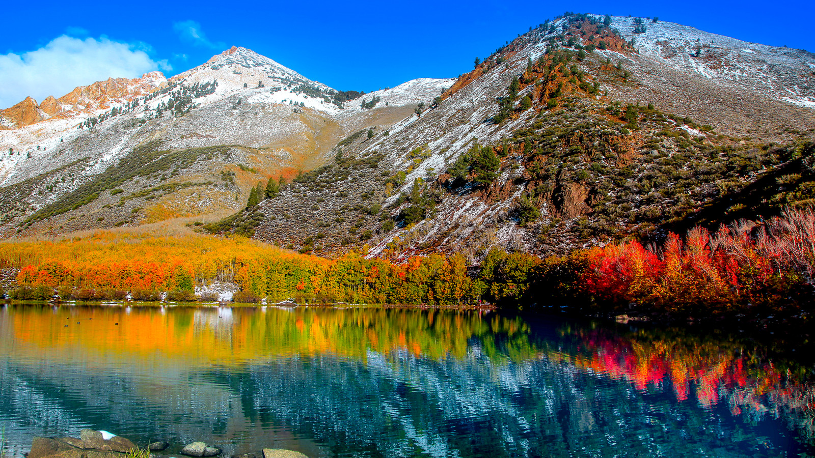 Something Groundbreaking Is Happening Under California's Sierra Nevada ...