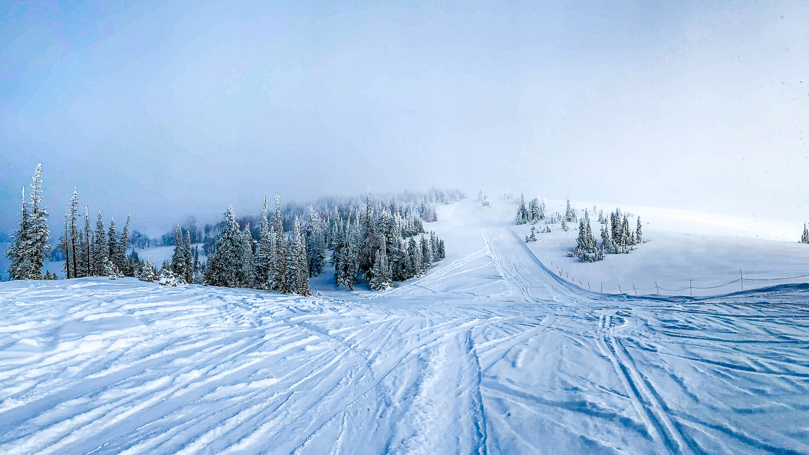 Why A Netflix Co-Founder Just Bought A Utah Mountain