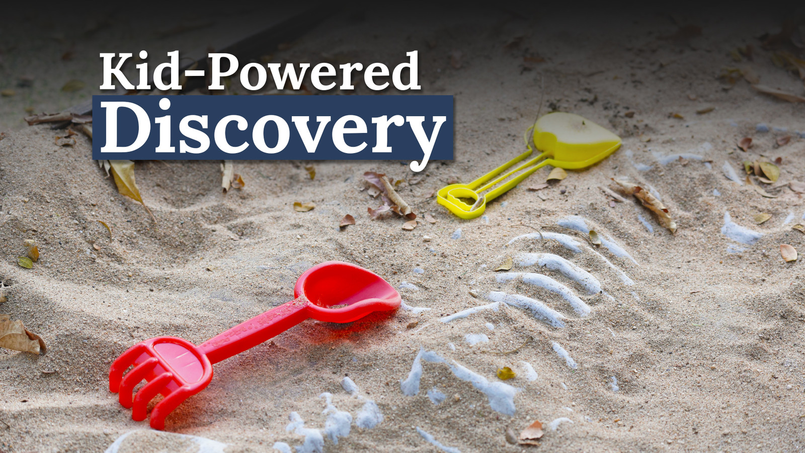 Kids Found Extremely Rare "Teen Rex" Skeleton While Hiking In The Midwest