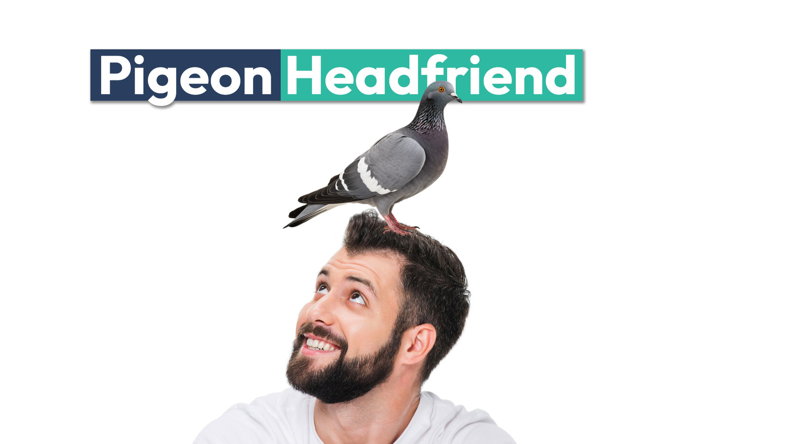 Man Learned To Accept A Pigeon Living On His Head