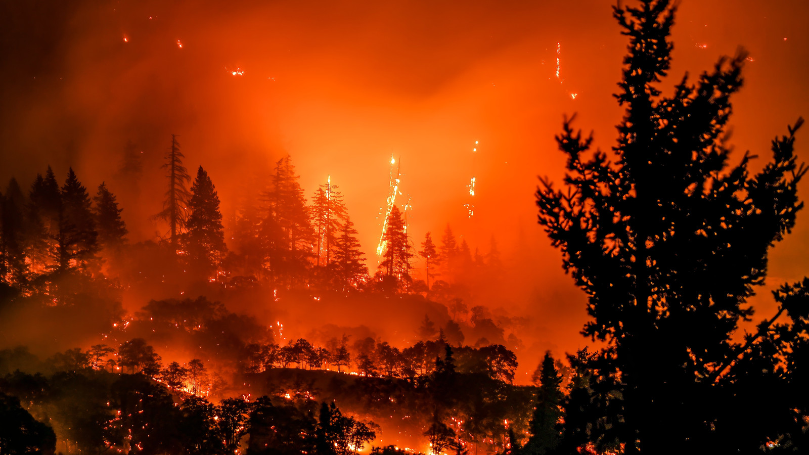 Japan: Worst Wildfire in Decades Burns Out of Control, Spreading ...