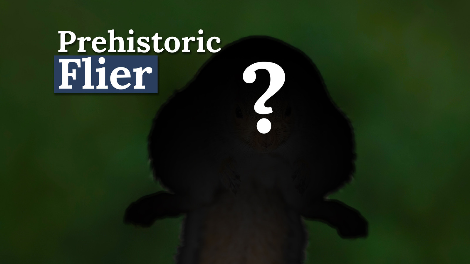 Scientists Reveal Strange Giant Flying Creature That Once Lived In ...