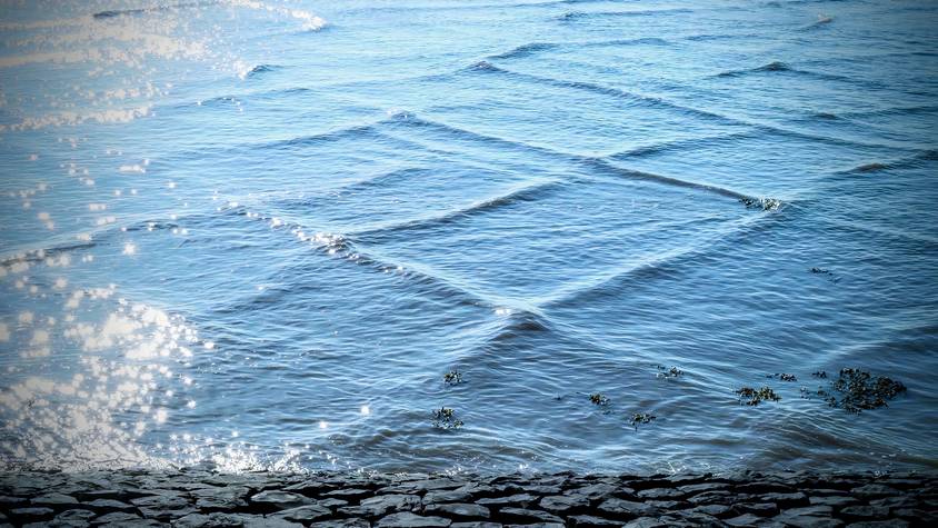 Experts Reveal What Actually Happens On A Cruise Ship In A Tsunami