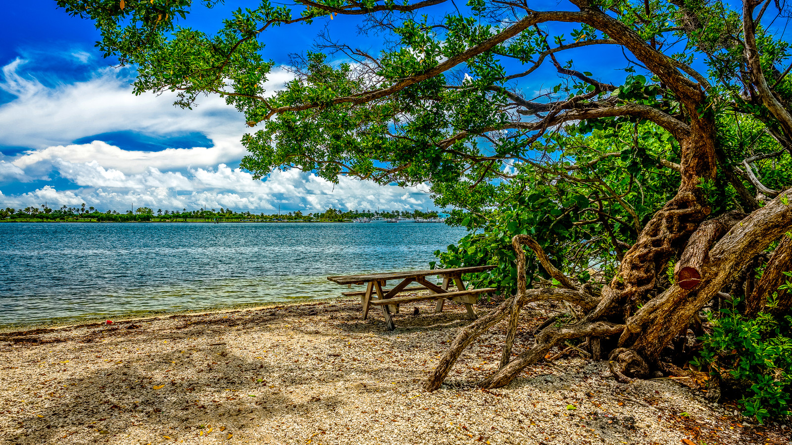 This Little "Everglades" With Caribbean-Like Beaches Is Florida's ...