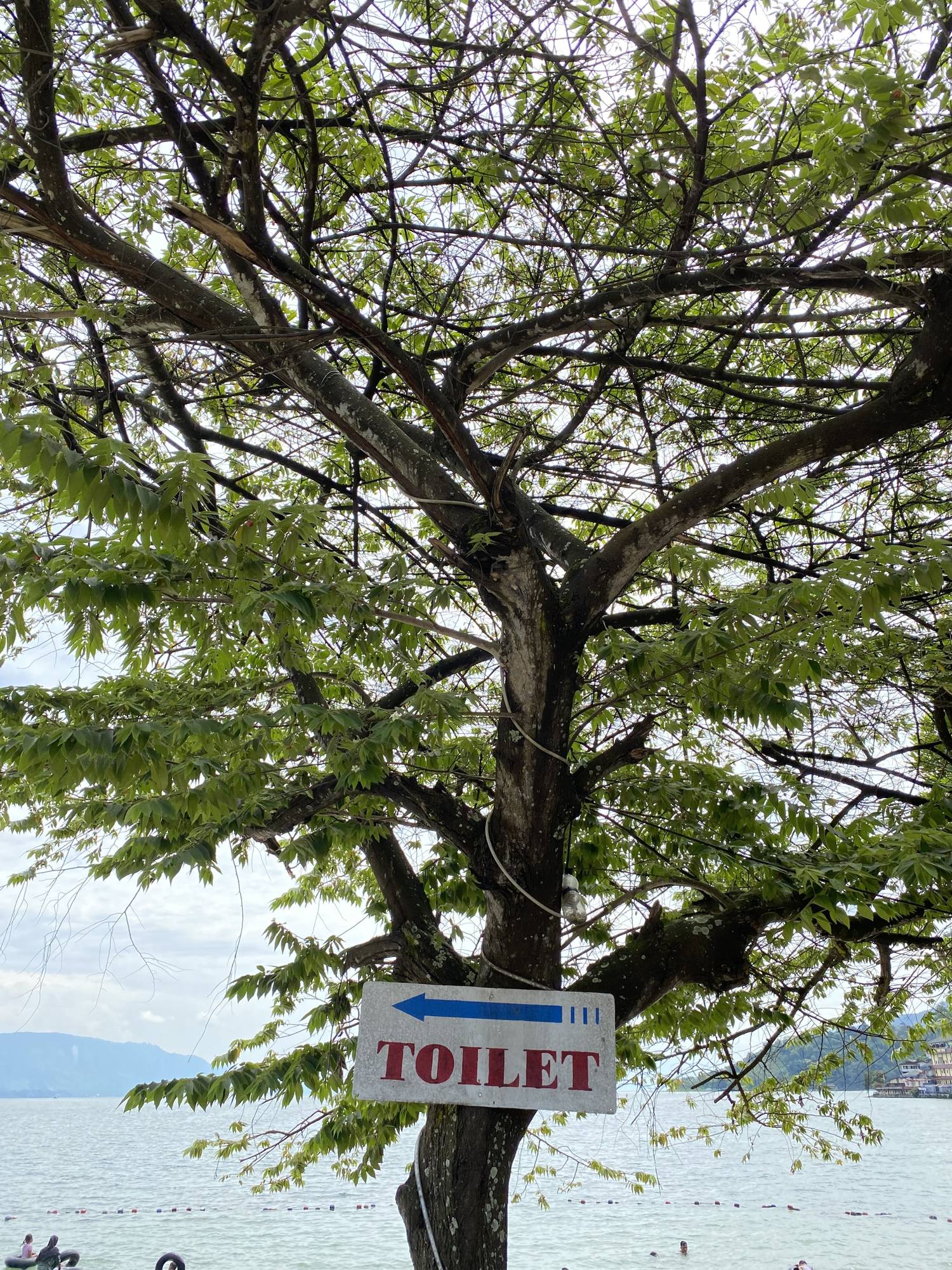 The World's Most Scenic Loo Lets You Enjoy Number Two With A View