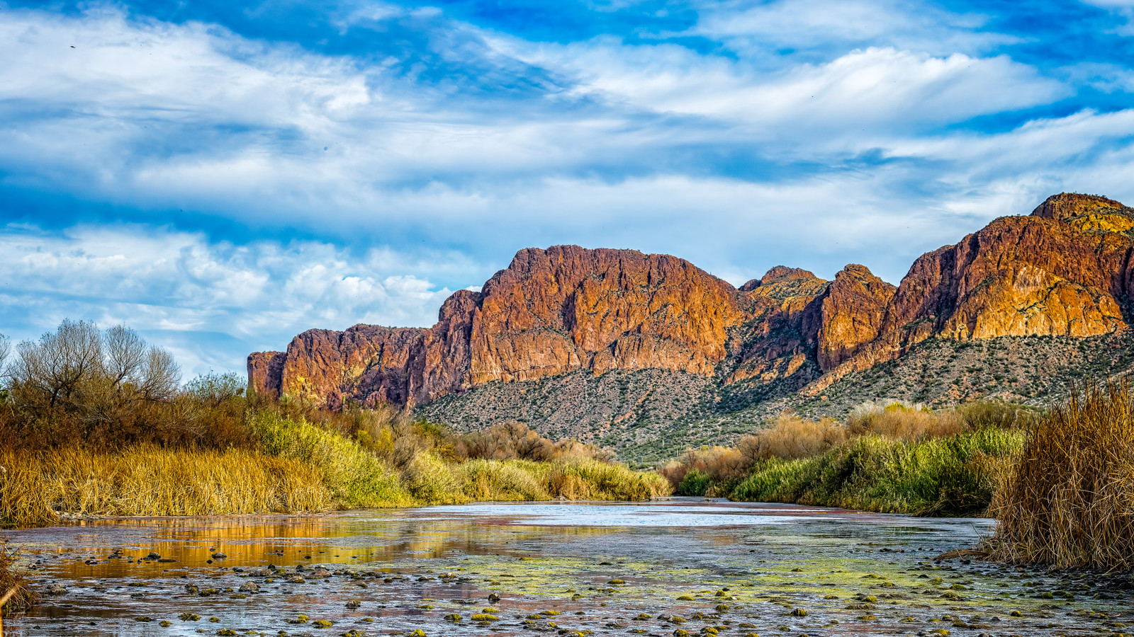 One Of Arizona's Most Serene Beach Spots Is Near Phoenix