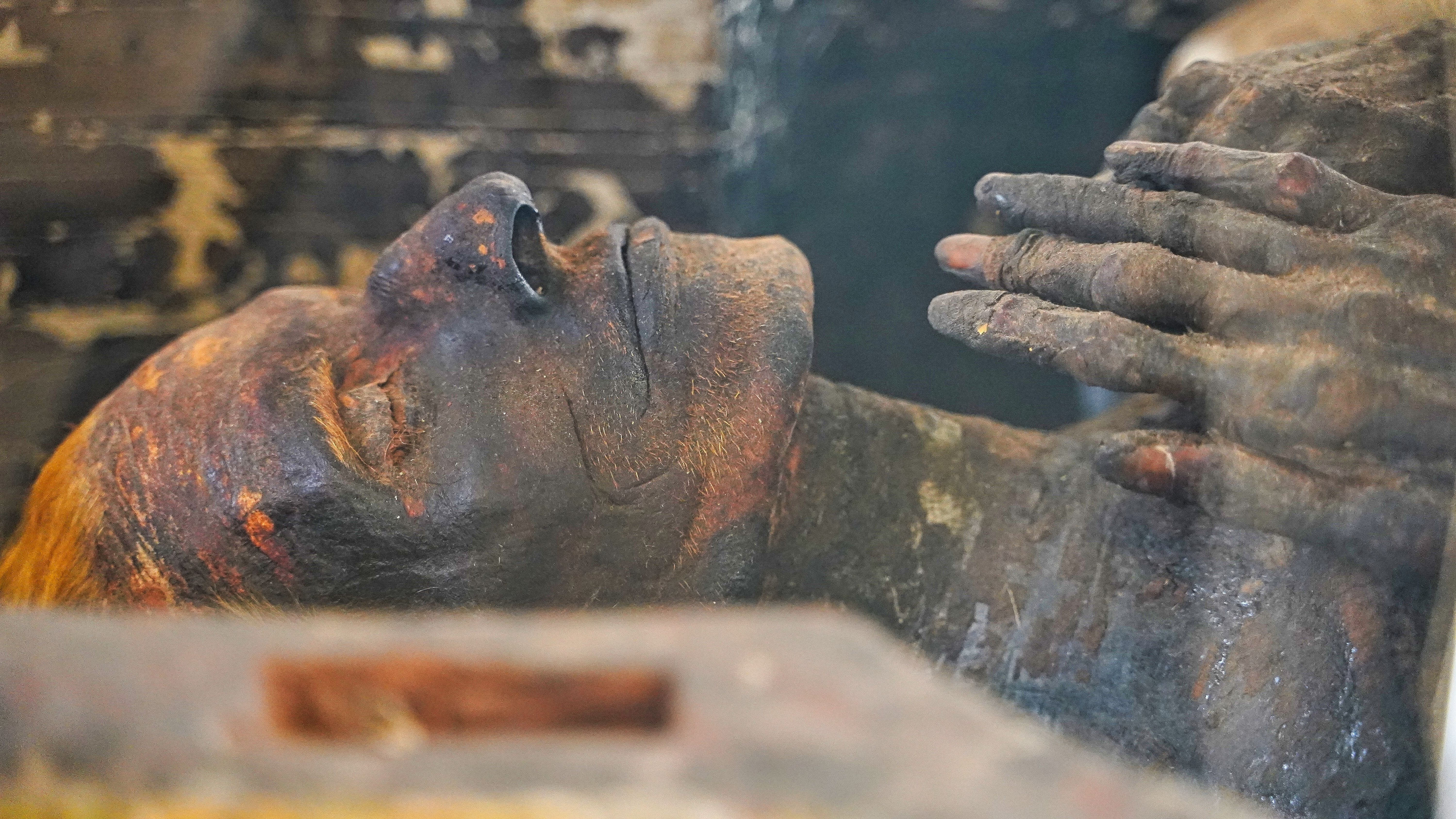 7,000-Year-Old Mummies Found Not To Share DNA With Modern Humans