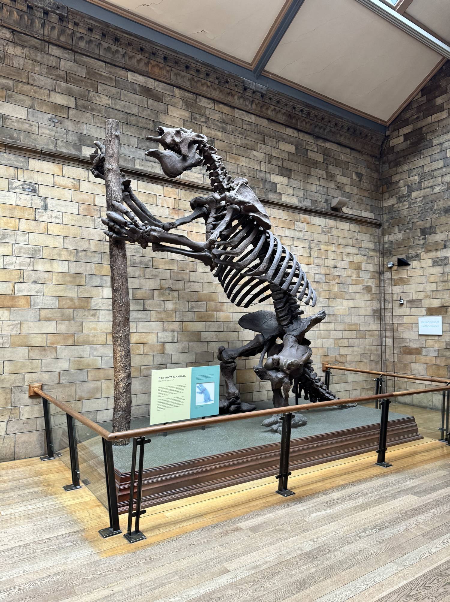 Scientists Offer Update On Dinosaurs At The Grand Canyon