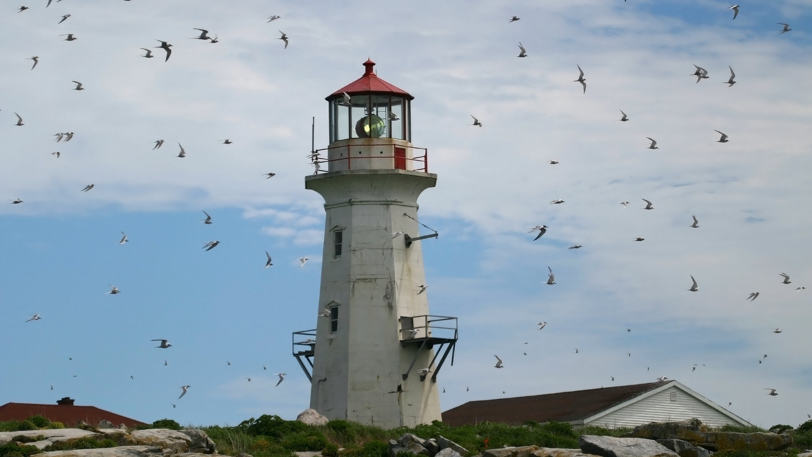 The Remote, Puffin-Filled Island Stuck In The US-Canada Border Conflict