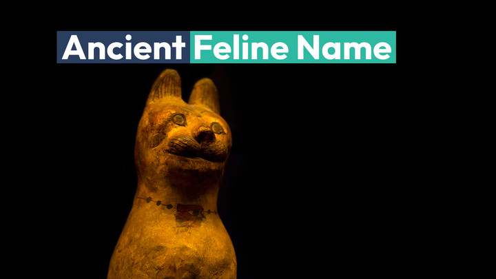 The First-Ever Cat With A Name Lived In Ancient Egypt, And Its ...