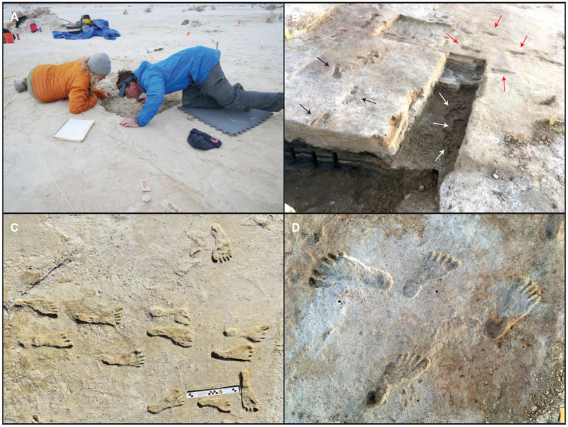 Humans Lived In North America Thousands Of Years Earlier According To ...