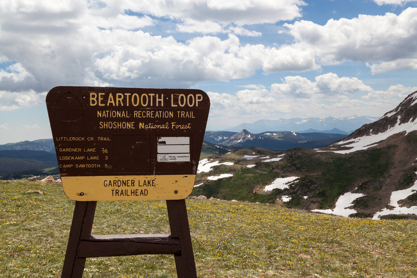 Skip Yellowstone: America's Oldest National Forest Is Nearby, Bigger ...