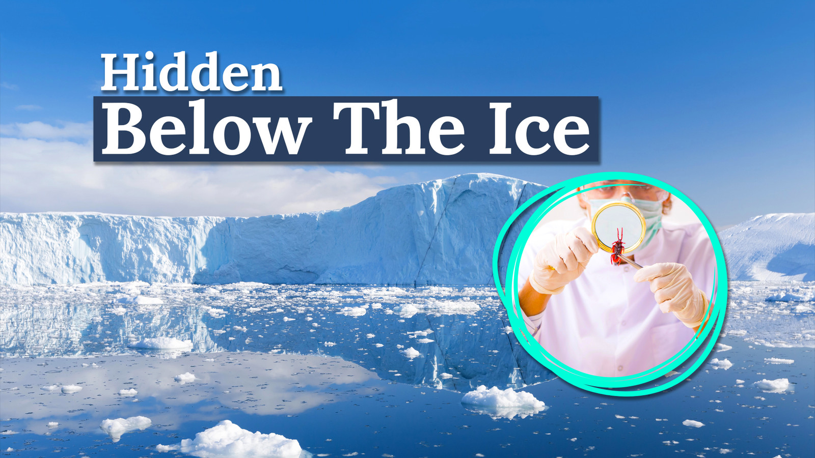 Chicago-Sized Iceberg Broke Off From Antarctica And Revealed A ...