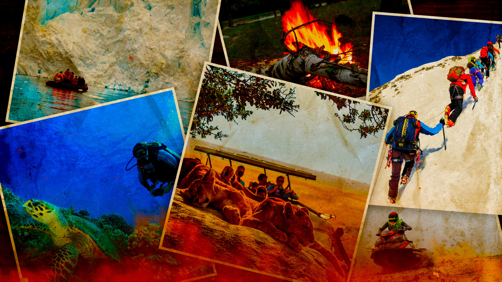 Controversial "Last Chance" Tourism Is The Latest Travel Trend To Spark ...