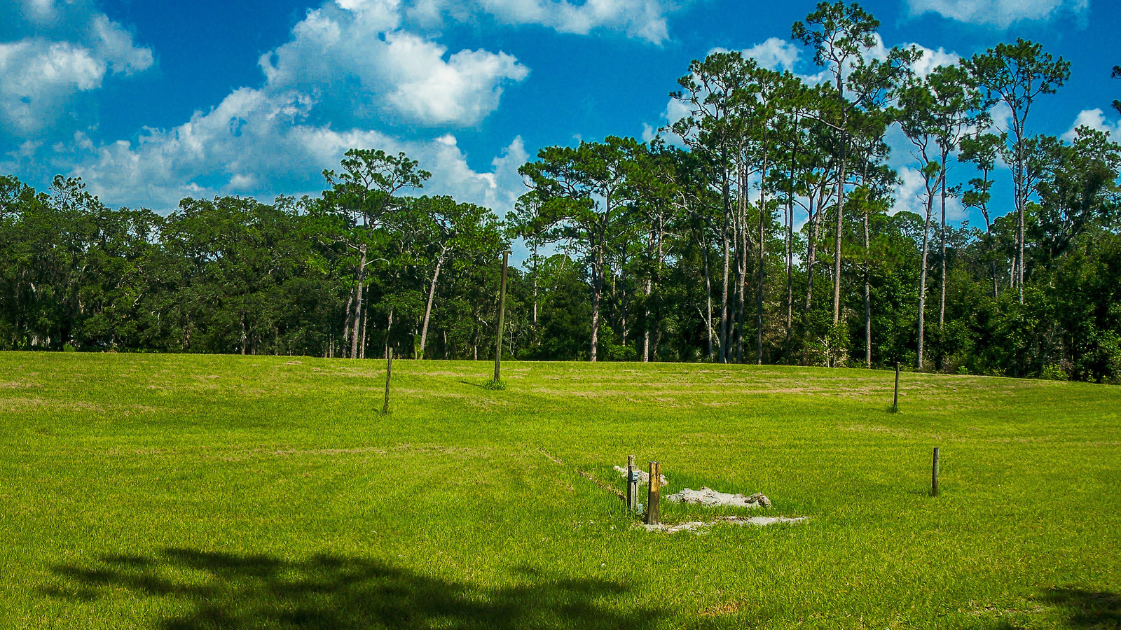 This Scenic Florida State Park Holds The Secrets Of The Longest ...