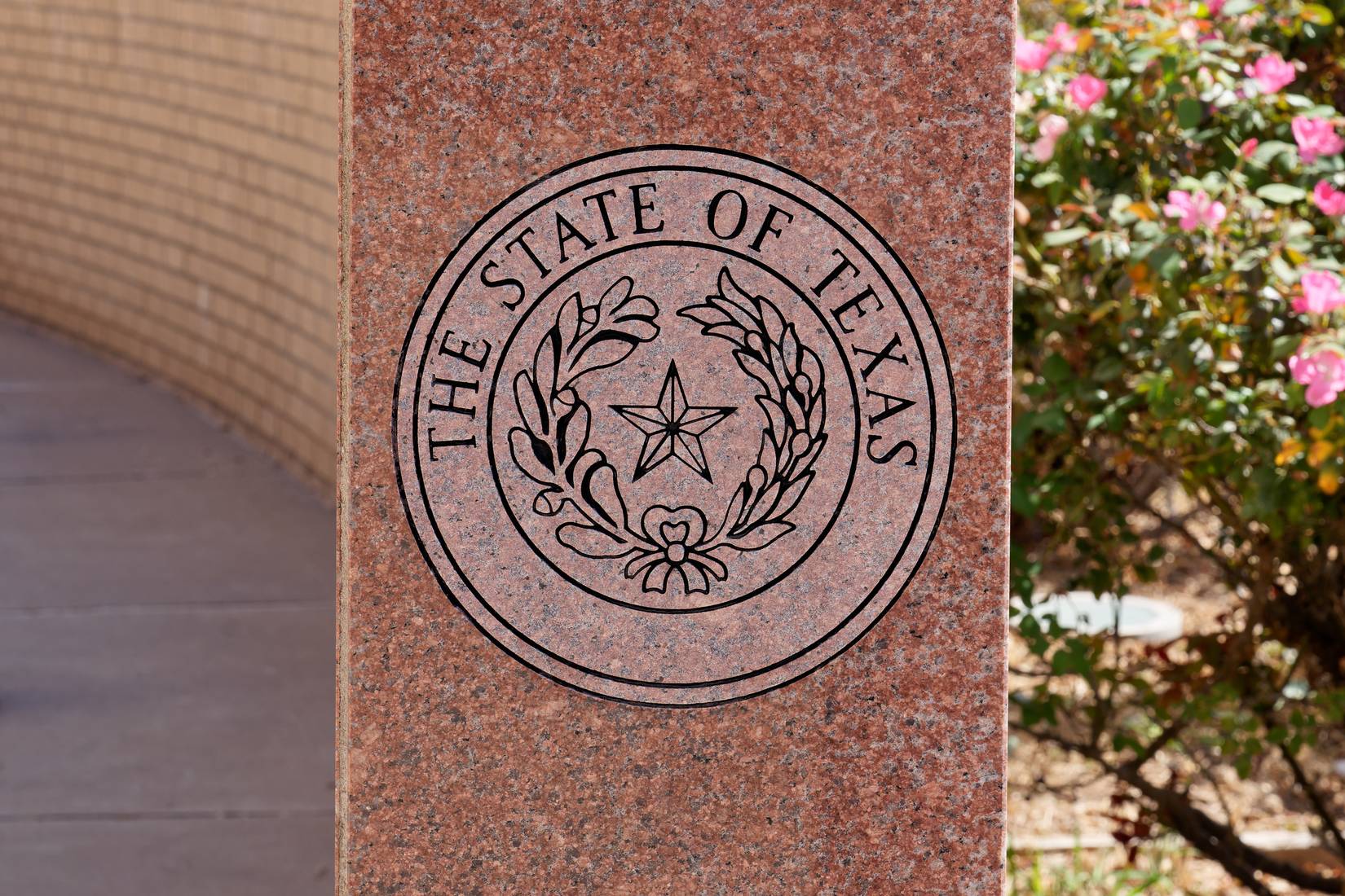 Texas - Flags & Symbols | TheTravel