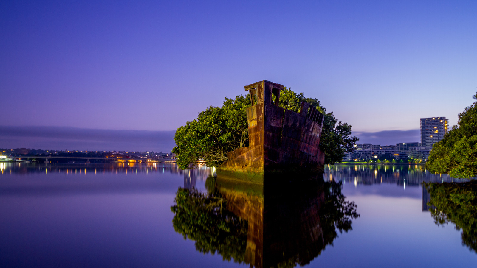 Australia's "Floating Forest" Is An Unusual Natural Wonder, But It ...
