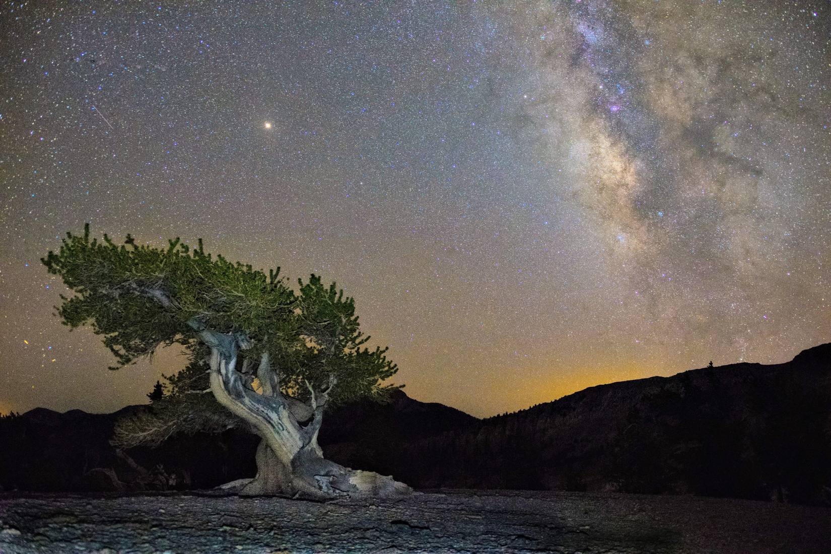 Skip California's Sequoias And Redwoods: This National Park In Another ...