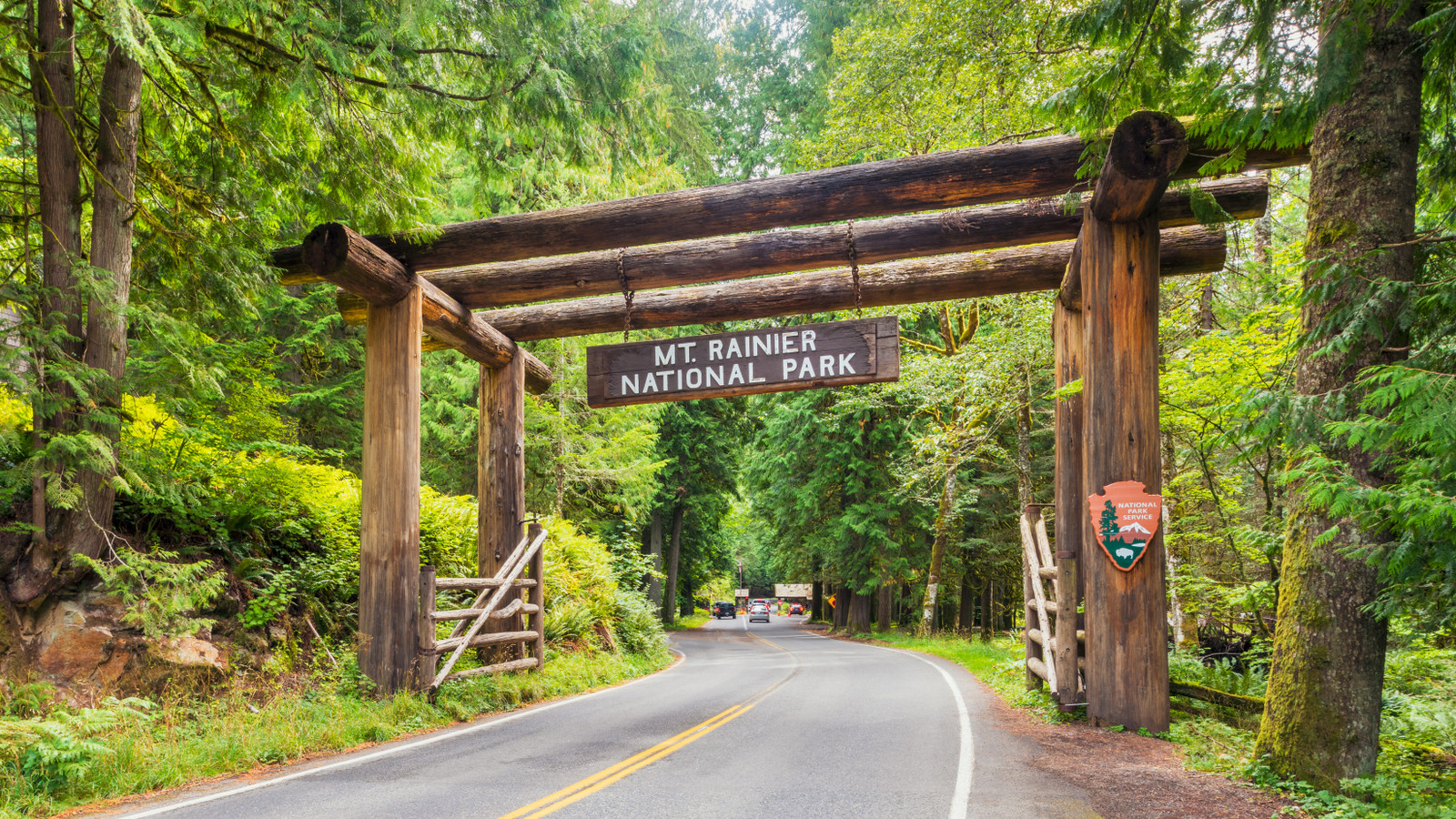 Outrage Erupts Online After Tourists Feed Wildlife In Mount Rainier ...