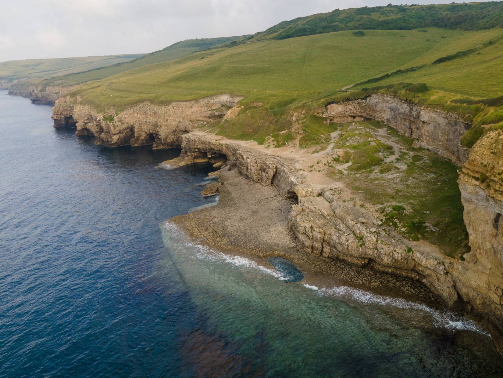 Will England's Perplexing Puffin Mystery Ever Be Solved?