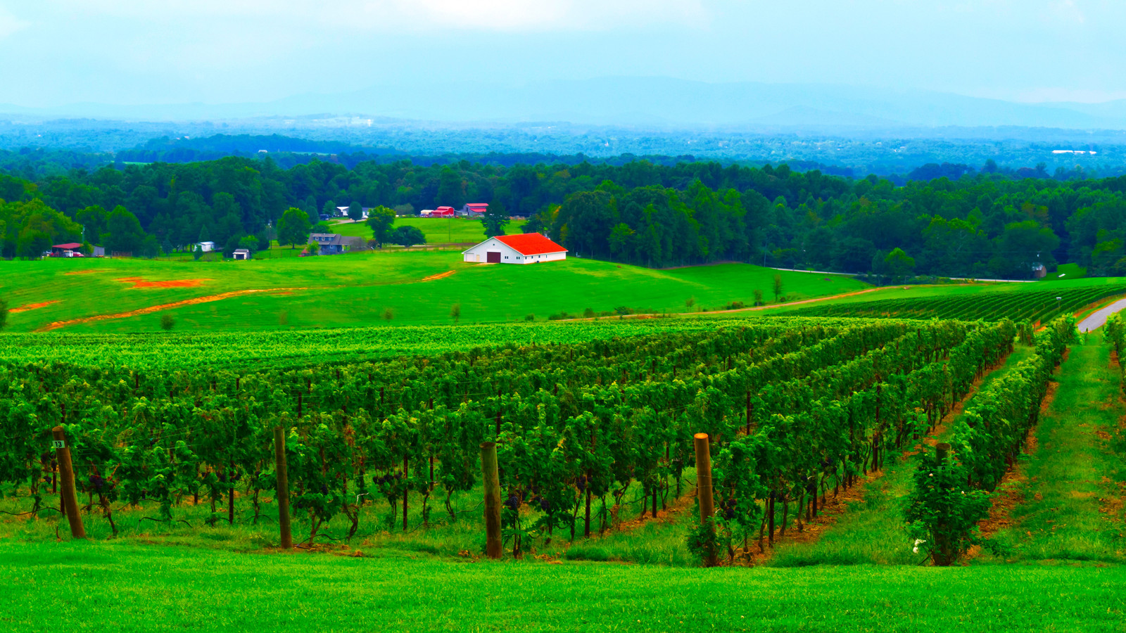 The "Napa Valley" Of North Carolina Is An Underrated But Scenic Blue ...