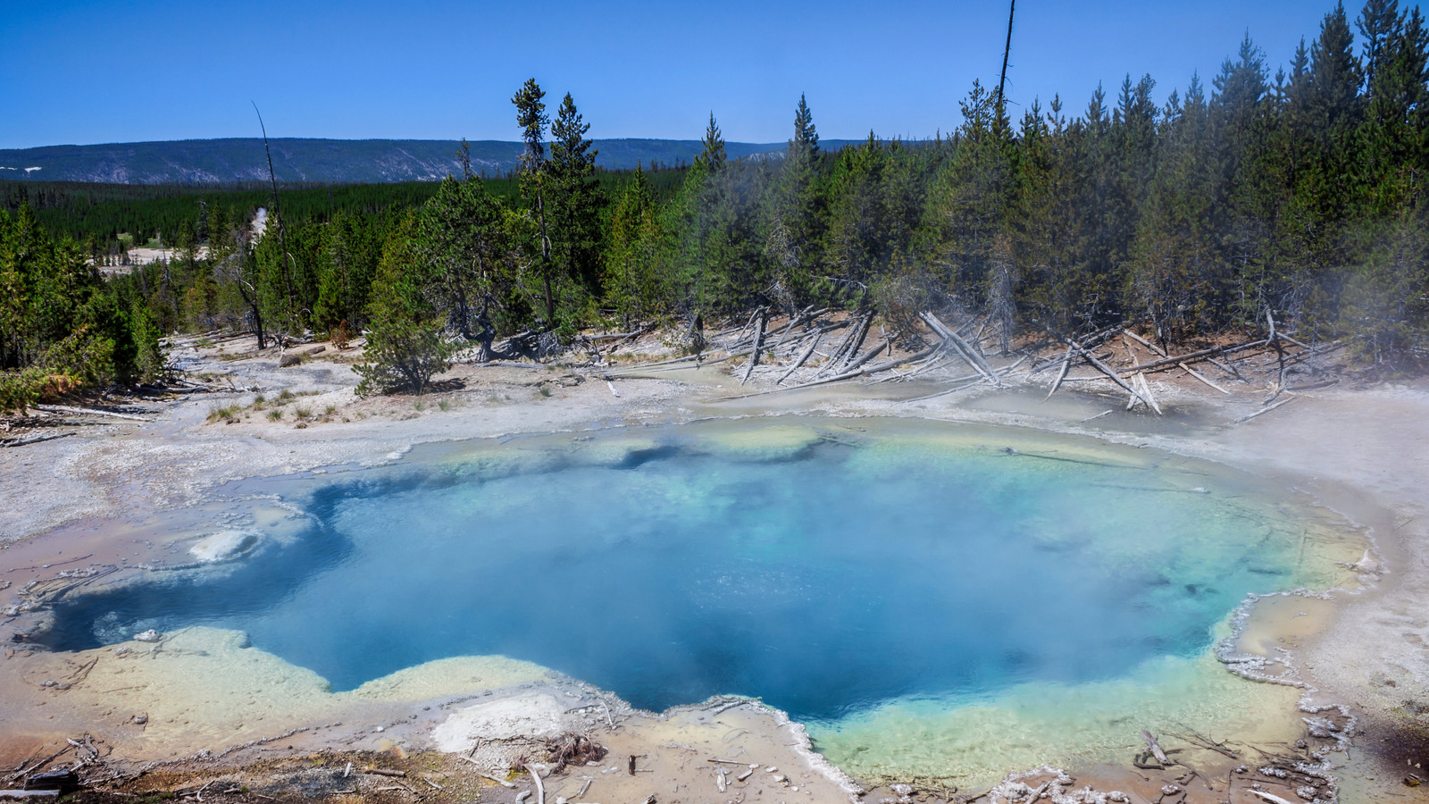 Visitor Loses His Life At Yellowstone National Park After Ignoring ...