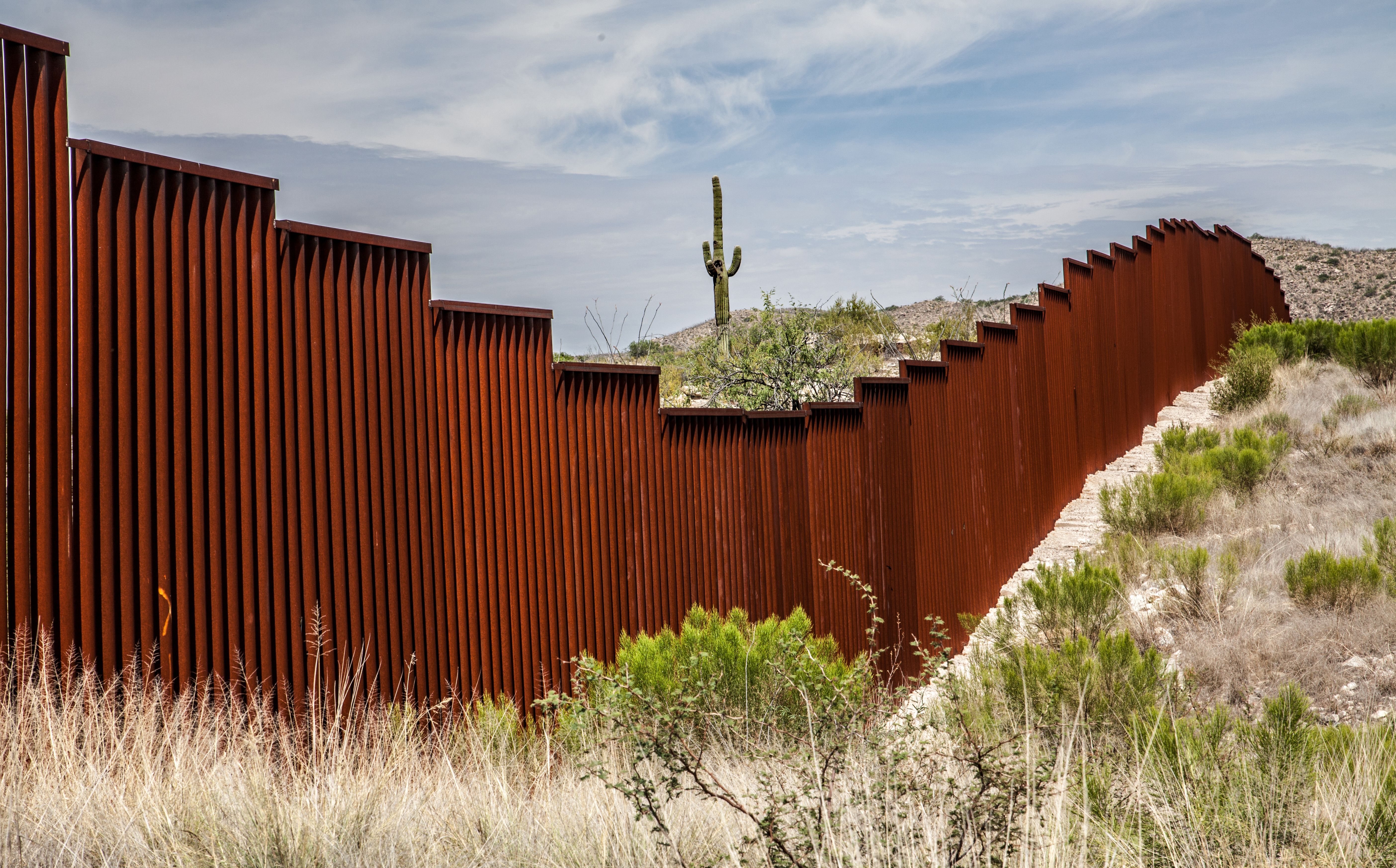 Walling Off The US-Mexico Border Would Drive "Countless" Animals To ...