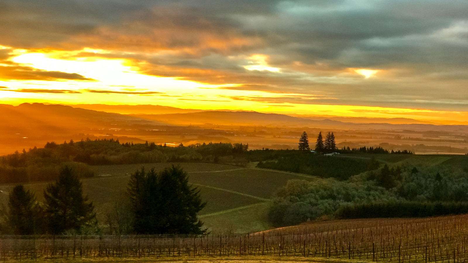 The "Tiny Scotland" Of Oregon Is The Friendliest Town In The State