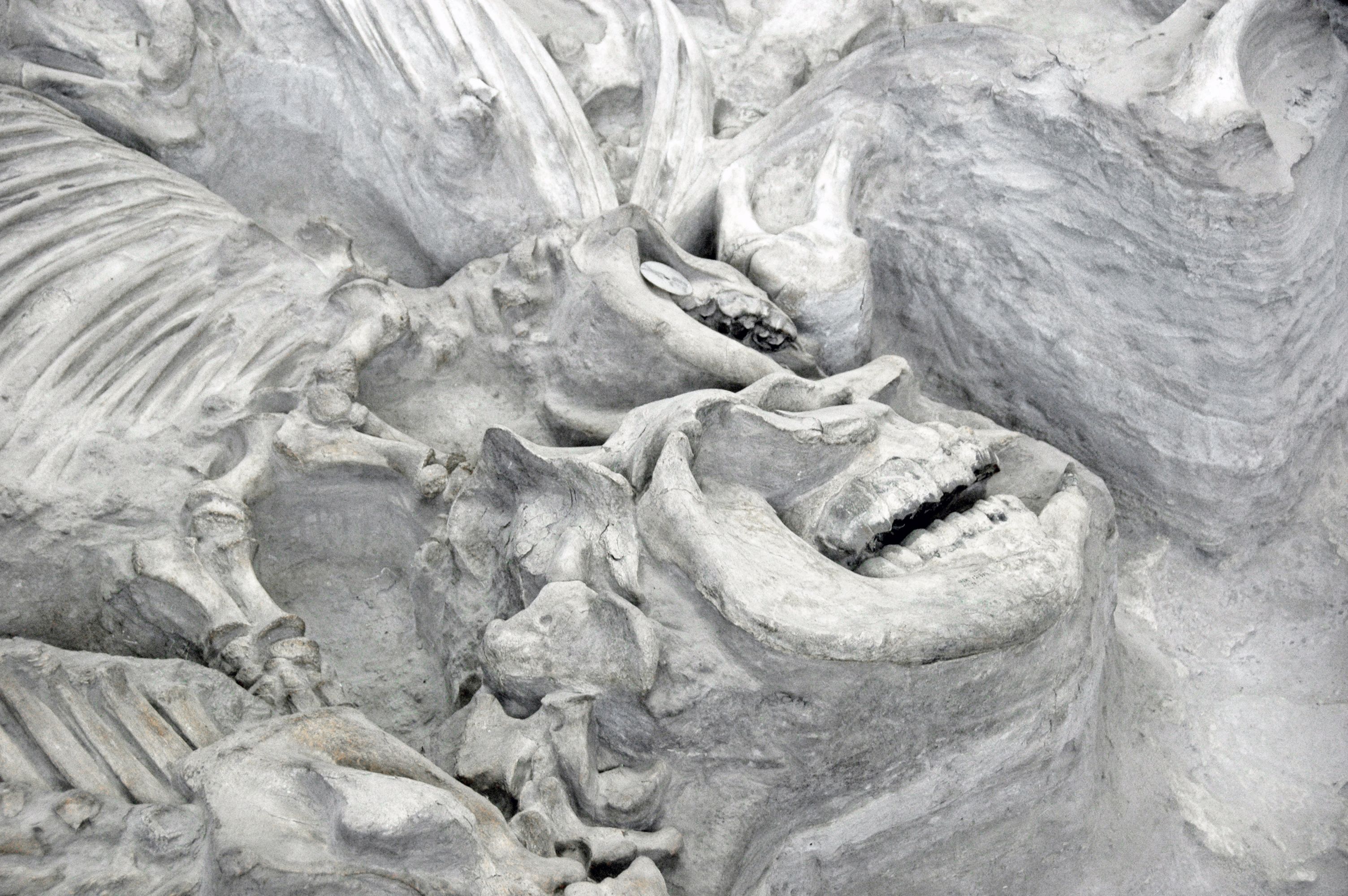 This State Park In The Midwest Is Actually A 12 Million-Year-Old ...