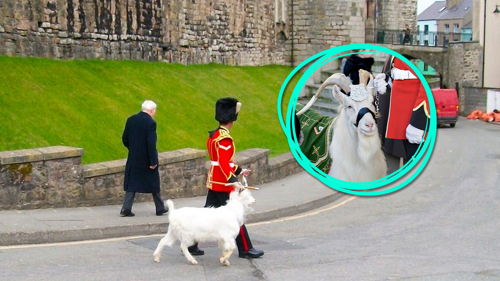 A Goat Served In The British Army But Got Demoted For Bad Behavior ...