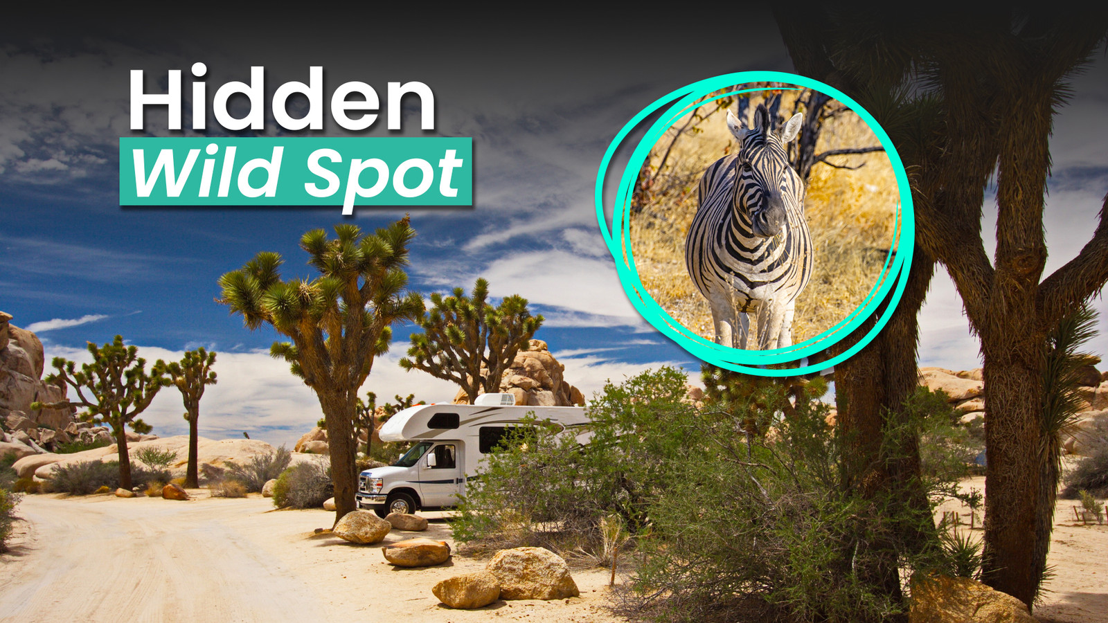 This Top California National Park Has One Of America's Coolest Secret ...